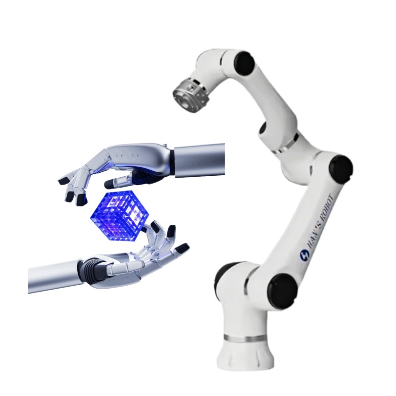 Cost-Effective Industrial Upgrade: DH-5-20 Dexterous Hand + Elfin E05 ...